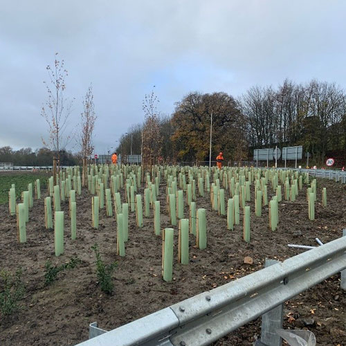 Arboriculture Specialists| North Yorkshire| PLS Group UK|